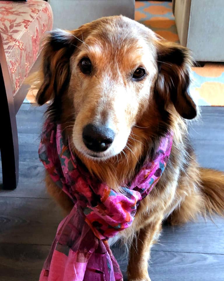 UStory: Winnie Cooper Boutique | UPrinting